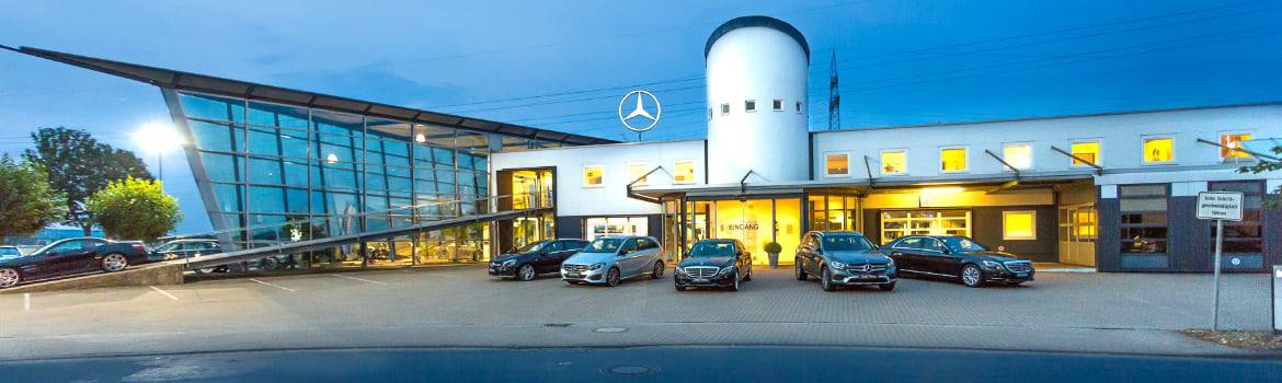 Home - Mercedes Halm Gehrden